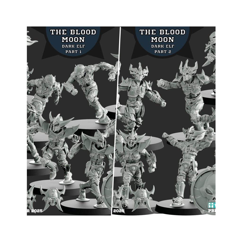 The Blood Moon - Dark Elves Team (Full Pack) - Boutique Philibert EN
